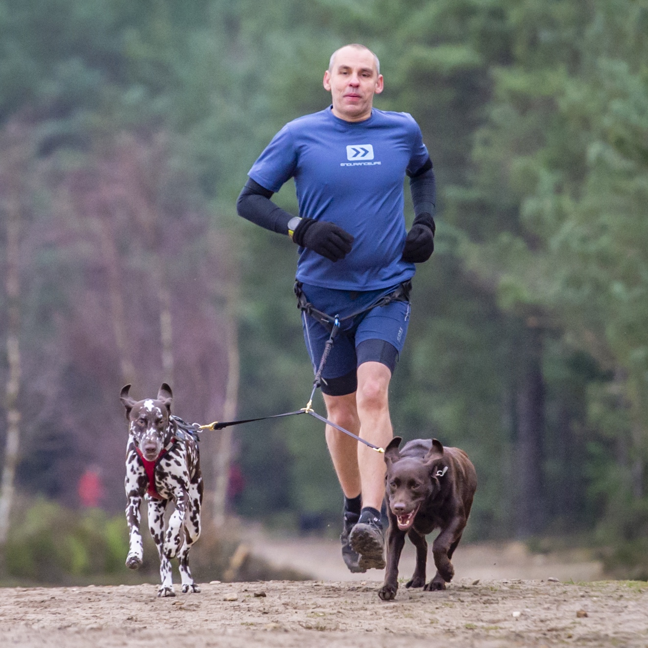 Welcome To Depicus - Home of the Geek